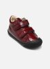 Naturino Bottillons - Cocoon VL (Bordeaux) - Baskets chez Sarenza (652647)