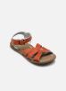 Salt-Water Sandales - Salt-Water Original (Orange) - Sandales et nu ...