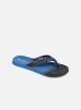 Rider Jam Flow Thong (Bleu) - Tongs chez Sarenza (362046)