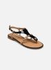 JB Martin Sandales - AISSA (Noir) - Sandales et nu-pieds chez Sarenza ...