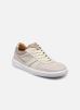 Clarks Baskets - Cambro Race (Blanc) - Baskets chez Sarenza (560591)
