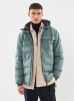 Icepeak Doudoune - ADONAN (Vert) - Vêtements chez Sarenza (647016)