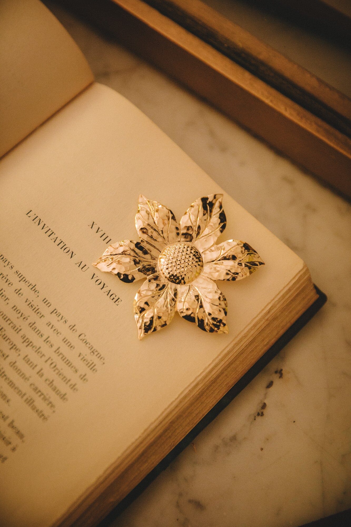 Monsieur Simone Broches Broche Hespéris Or Fleur femme or | Sarenza France