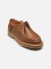 Pellet Derby - Macho (Marron) - Chaussures à lacets chez Sarenza (831413)