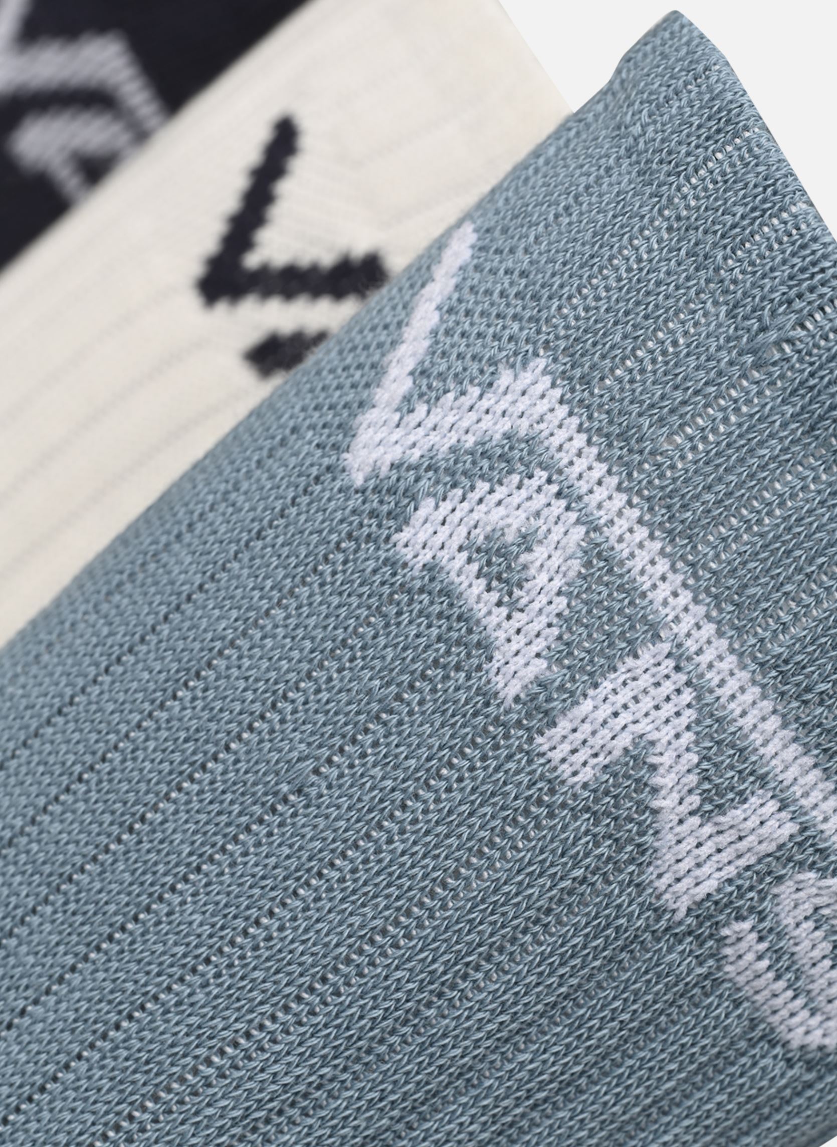 Vans Chaussettes CLASSIC CREW gris | Sarenza France