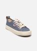 Armistice Baskets - STOMP SNEAKER W (Bleu) - Baskets chez Sarenza (685854)