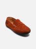 Pellet Mocassins - CADOR (Orange) - Mocassins chez Sarenza (708140)