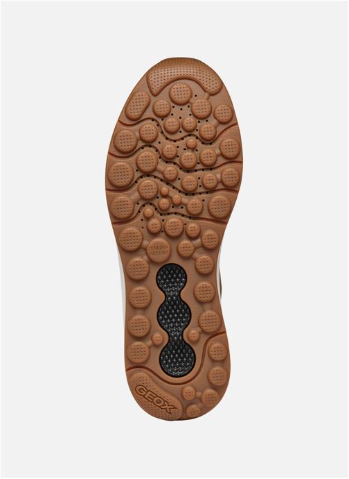 Collection Geox 2026 | Sarenza France