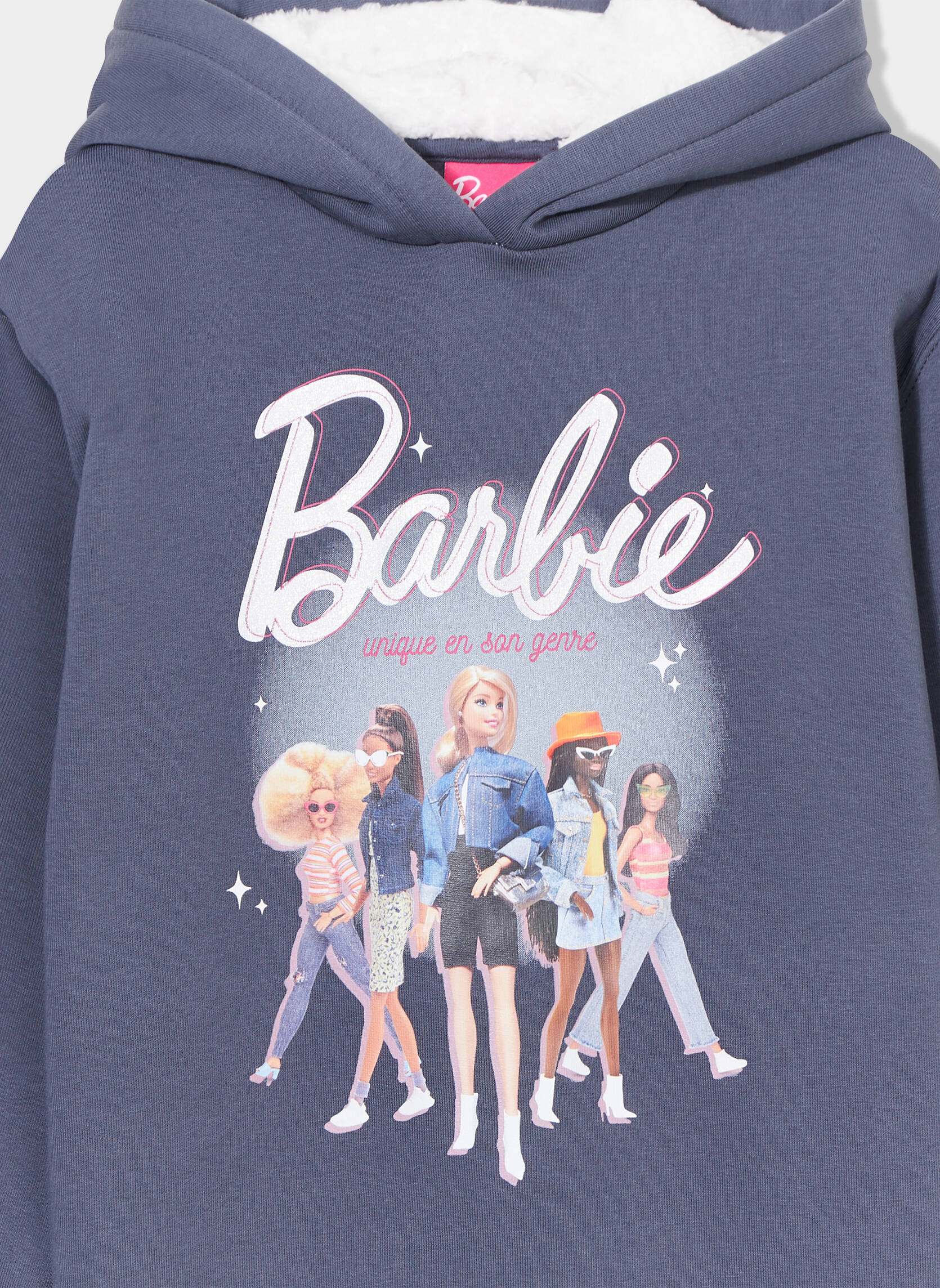 Barbie Sweats à capuche Sweat - SHL_ALBATROS fille gris | Sarenza France