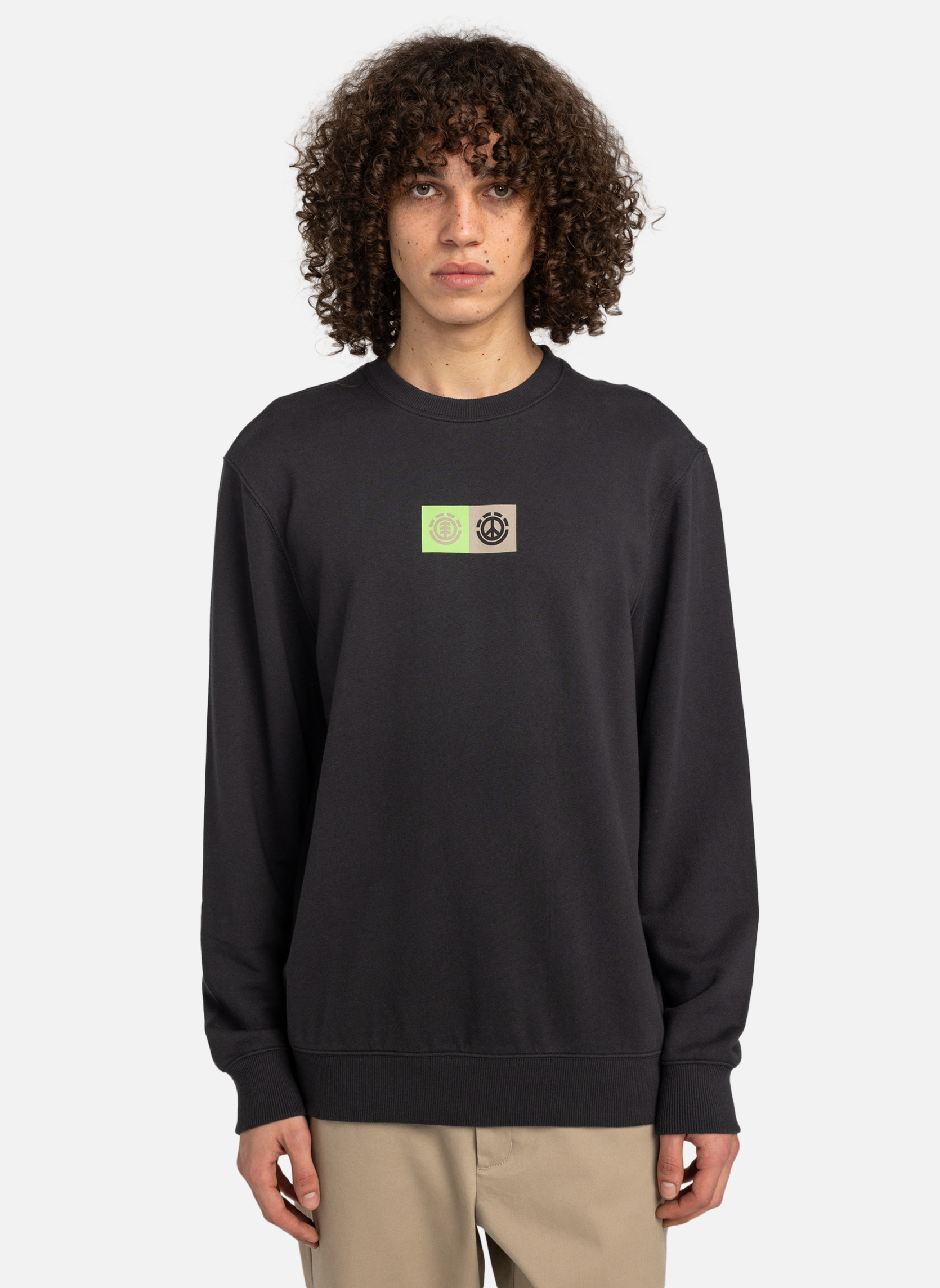 Element Sweats à capuche Sweat DUAL homme noir | Sarenza France