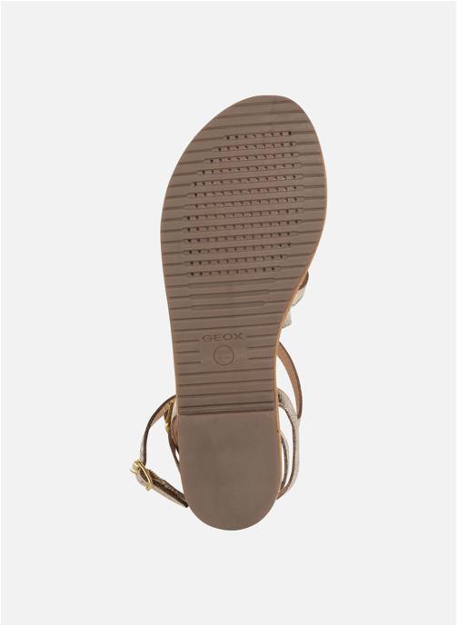 Collection Geox 2026 | Sarenza France