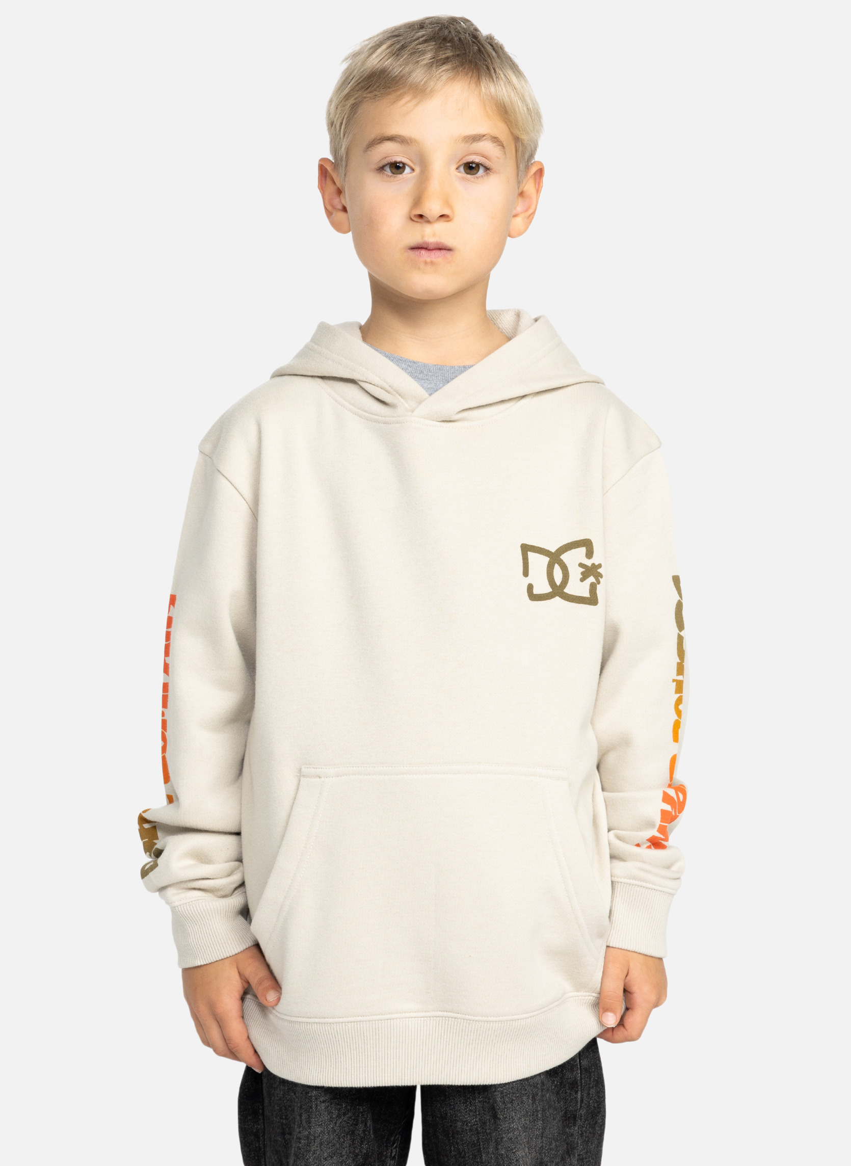 DC Shoes Sweats à capuche Sweat à capuche HOT BOX. garçon gris ...