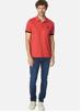 TBS Polo manches courtes BARZOPOL GRENADE14826 (Rouge) - Vêtements chez ...