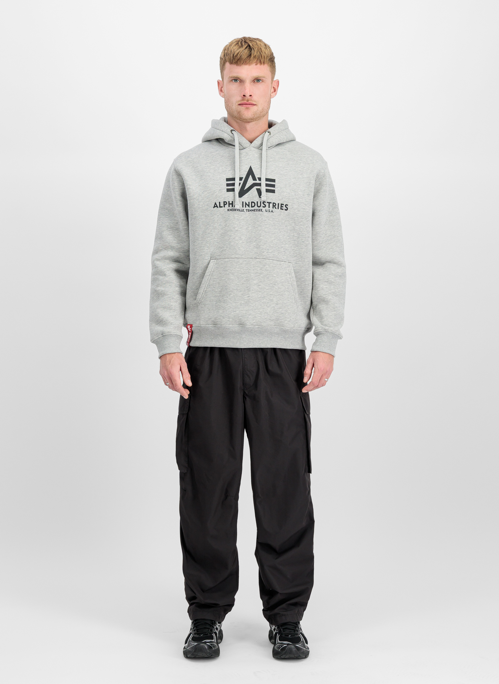 Alpha Industries Sweats à capuche Basic Big Logo Hoodie homme gris ...