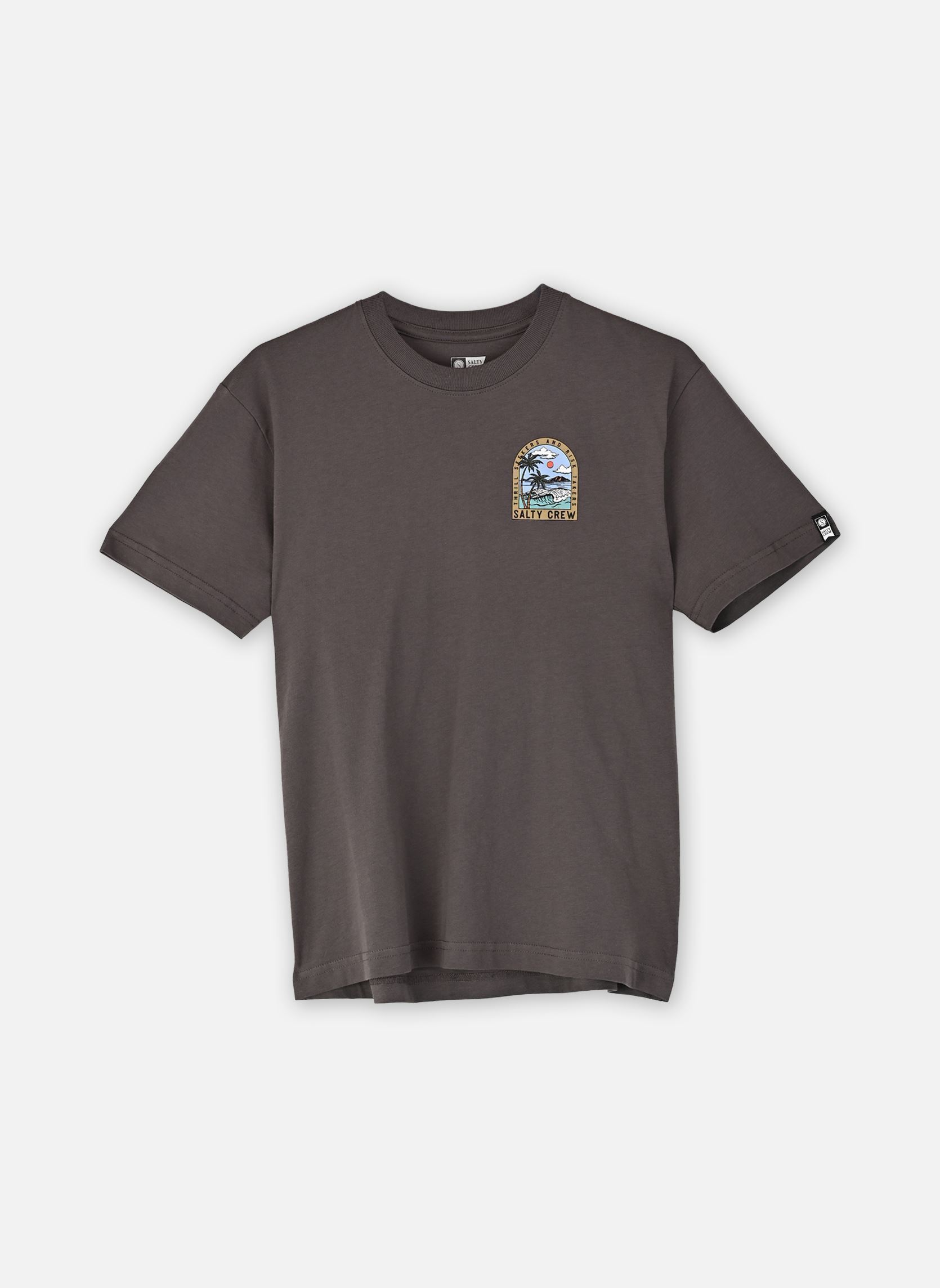 Salty Crew Tee-shirts Archway Boys Ss Tee garçon gris | Sarenza France