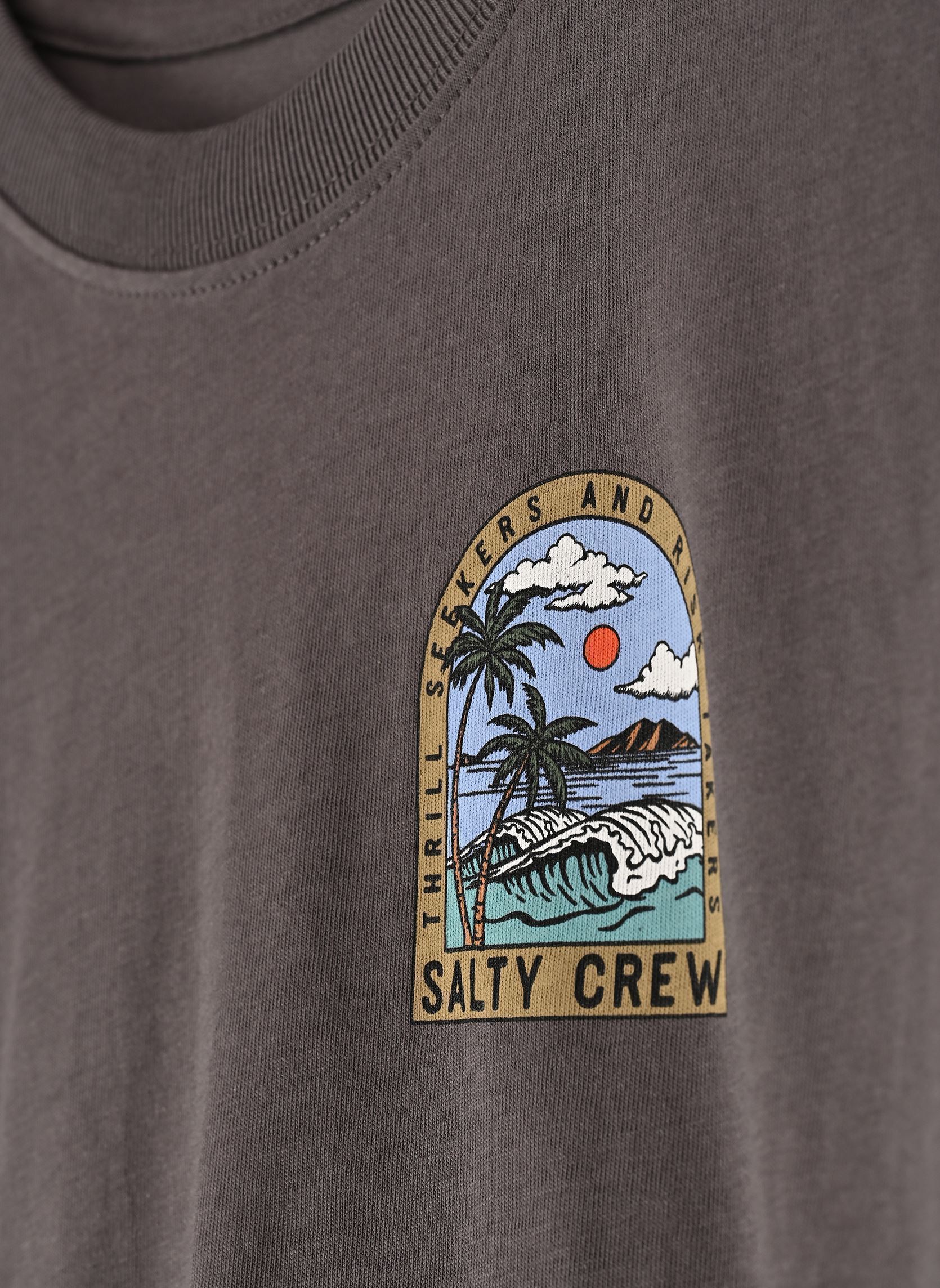 Salty Crew Tee-shirts Archway Boys Ss Tee garçon gris | Sarenza France