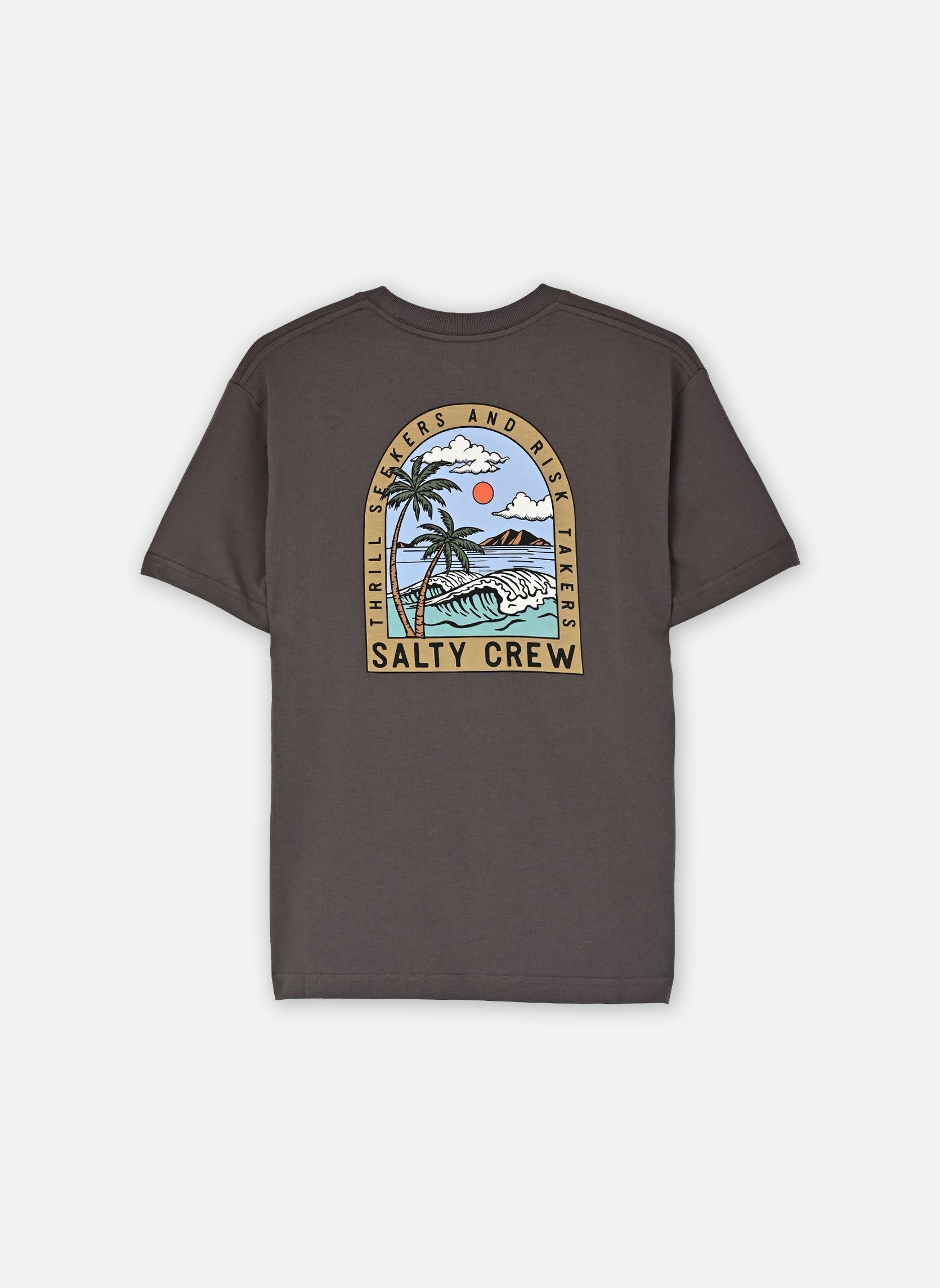 Salty Crew Tee-shirts Archway Boys Ss Tee garçon gris | Sarenza France