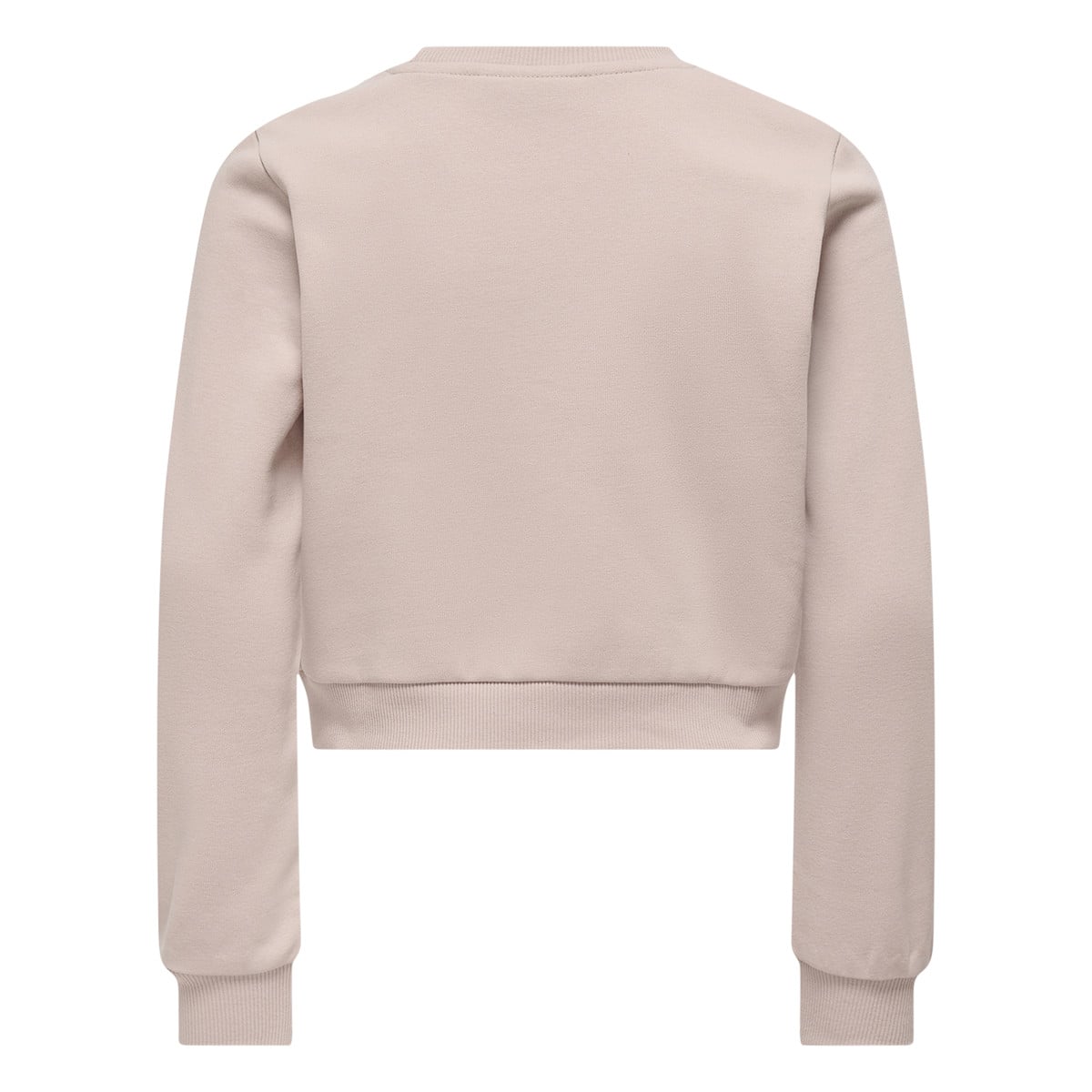 ONLY Sweats à capuche Sweat rose uni avec une coupe droite à col rond ...