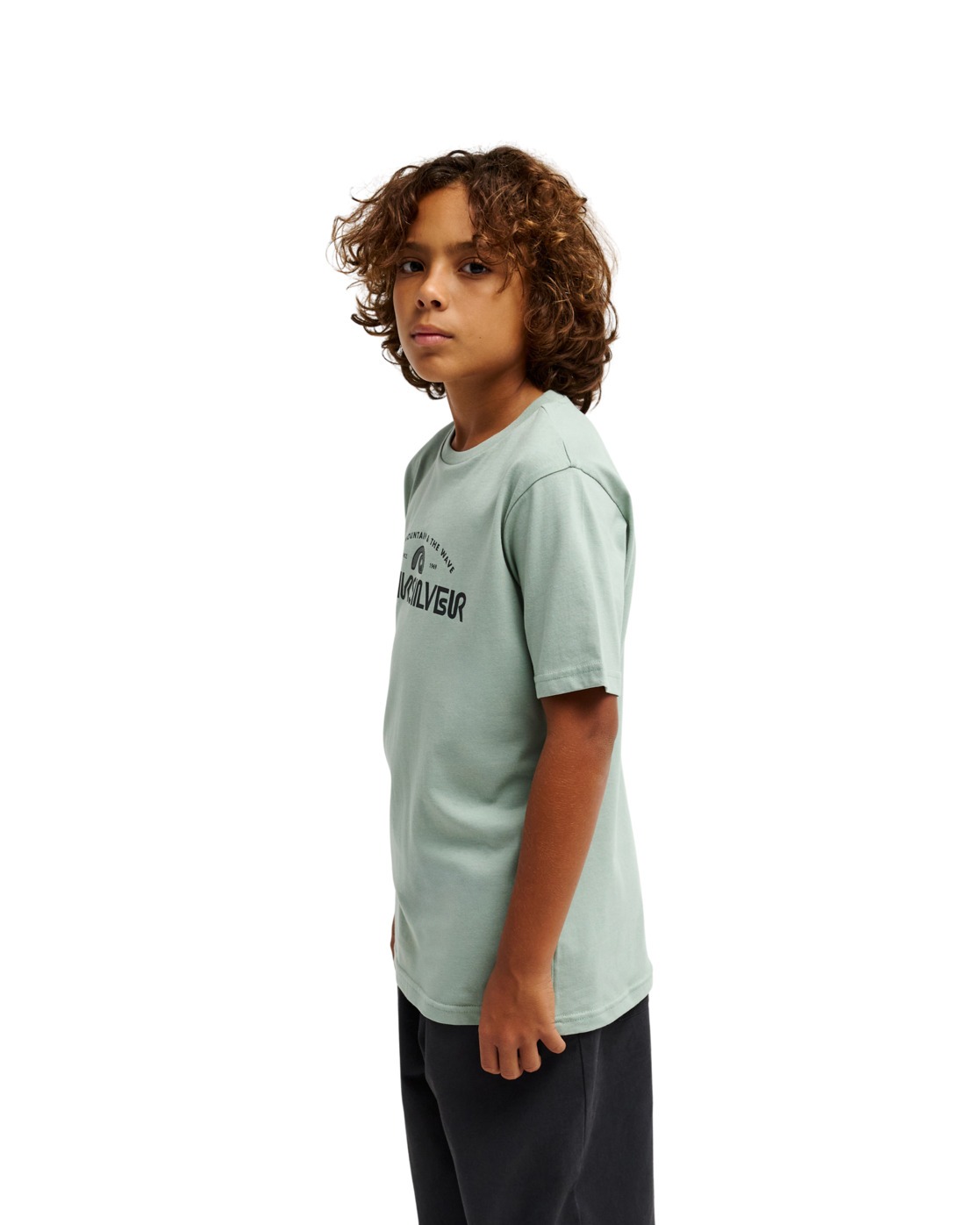 Quiksilver Tee-shirts Ev Vista Logo garçon vert | Sarenza France